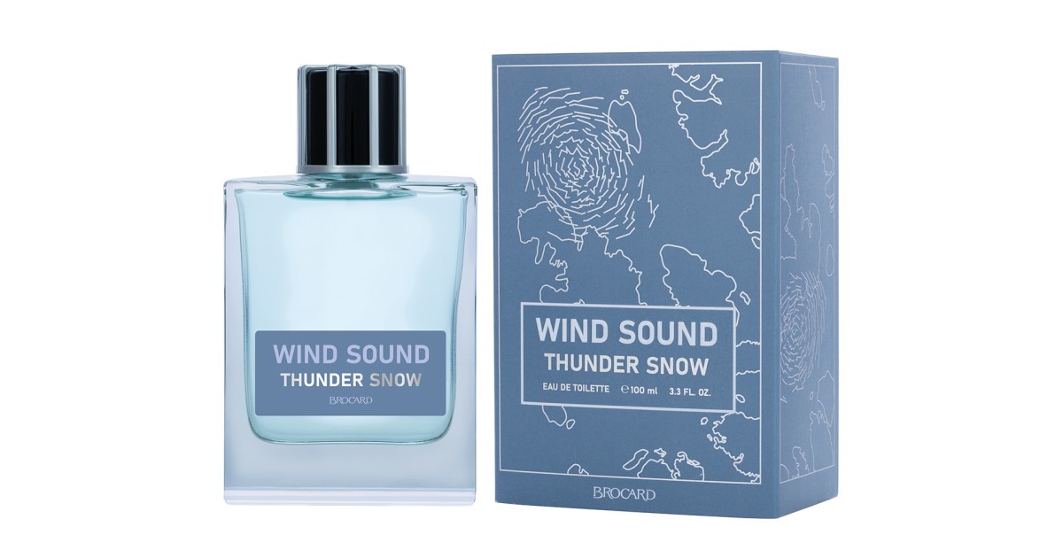 Wind Sound. Thunder snow