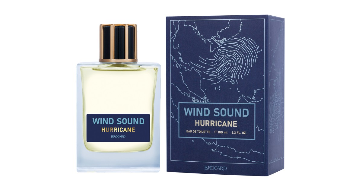 Wind Sound. Hurricane